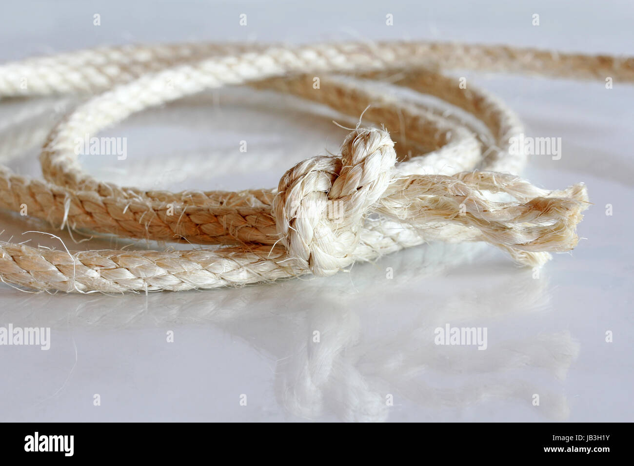 Big knots hi-res stock photography and images - Alamy