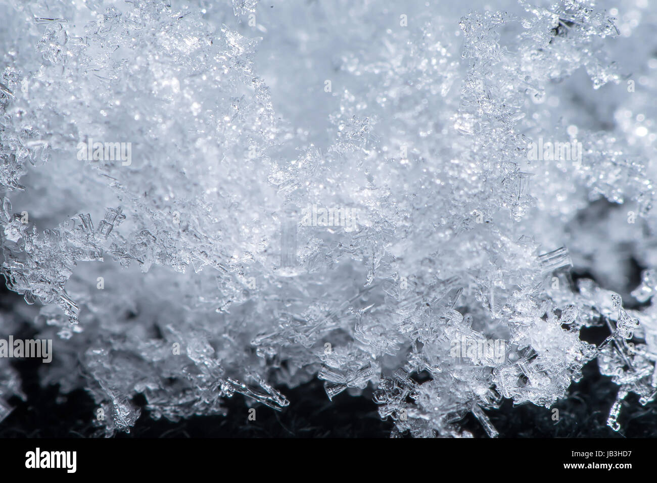 Close up snow and snowflakes Stock Photo - Alamy