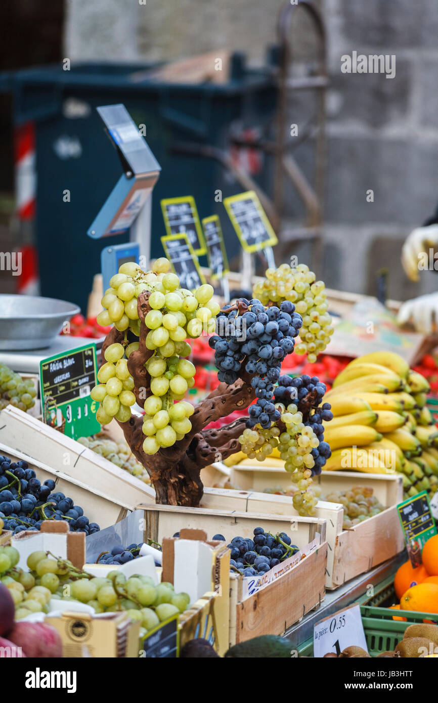 Bunches of green and black grapes with bloom hanging up displayed for ...