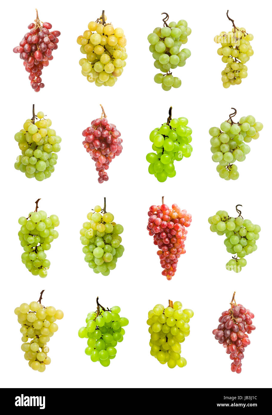 Collection of grapes isolated on white background Stock Photo - Alamy