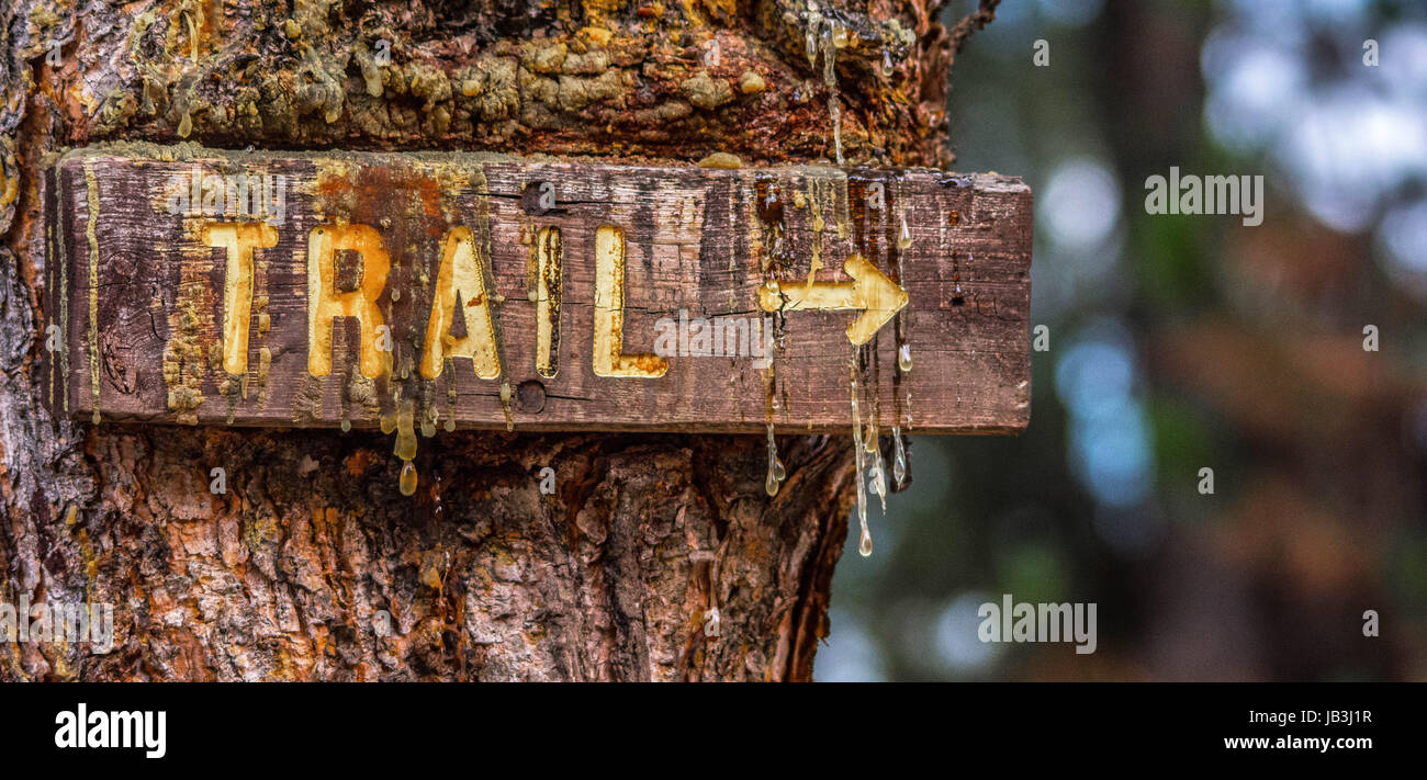 An old trail sign with sap on it Stock Photo - Alamy