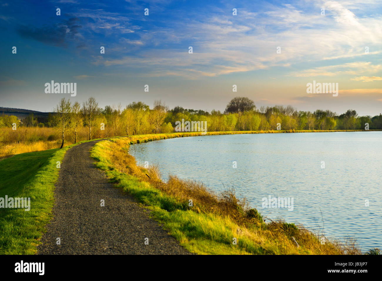 Summer evening by a lake and still water Stock Photo - Alamy