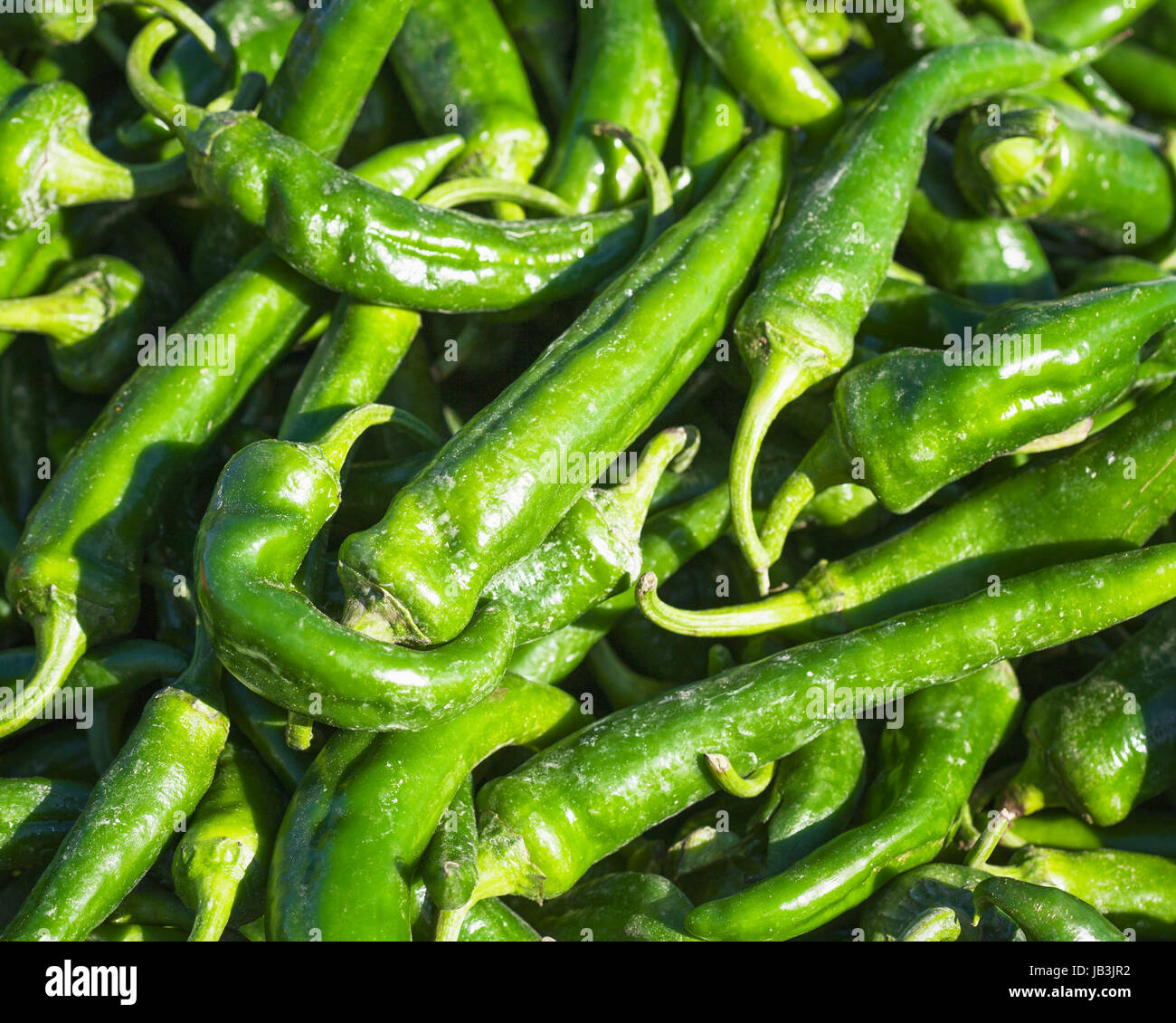Heap green chillies vegetable market hi-res stock photography and ...
