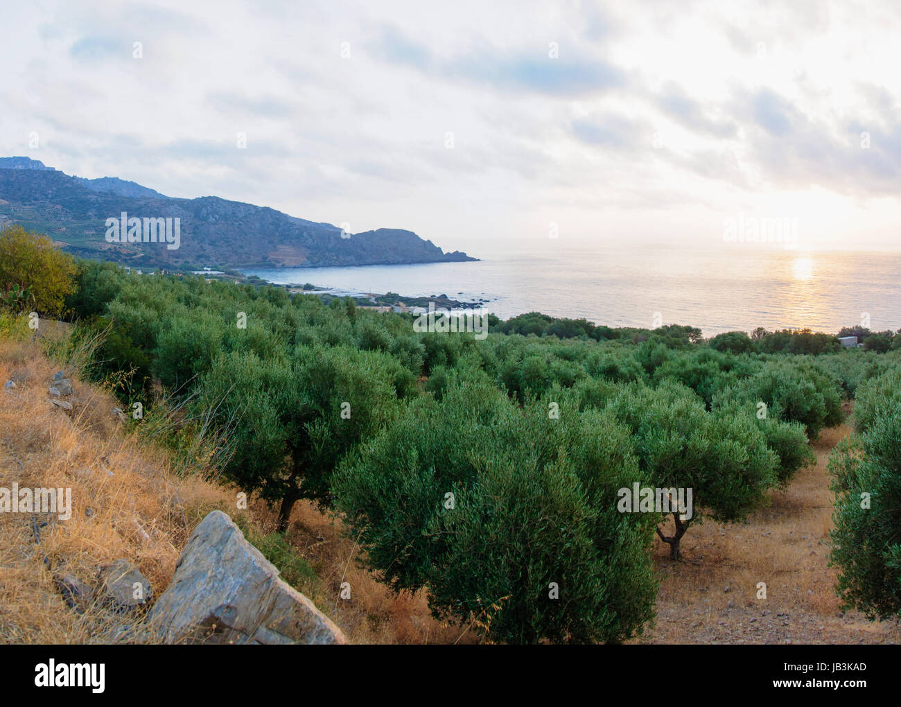 Wide view of a Cretan landscape, island of Crete, Greece Stock Photo ...
