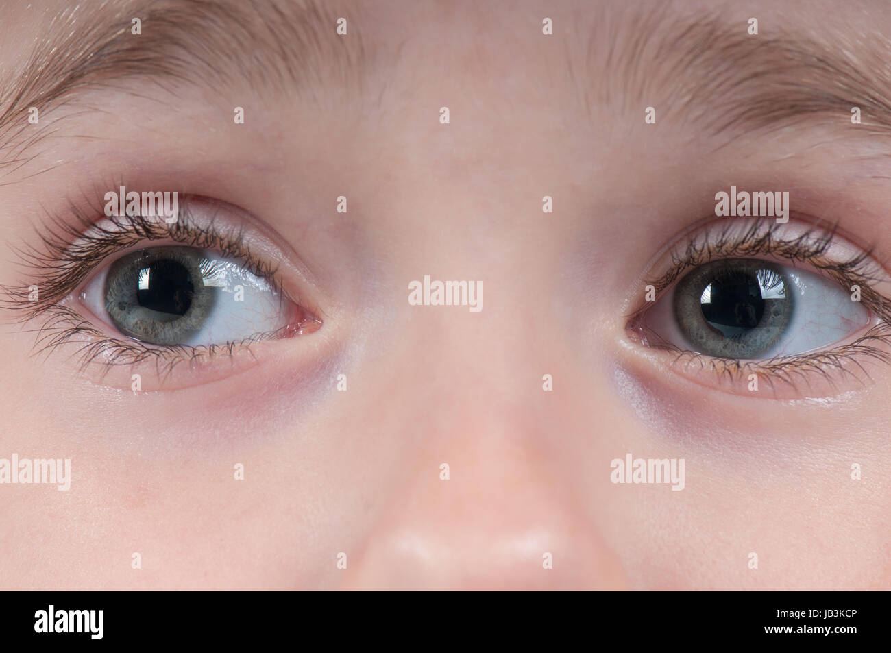 Closeup shot of beautiful long girl's eyes Stock Photo - Alamy