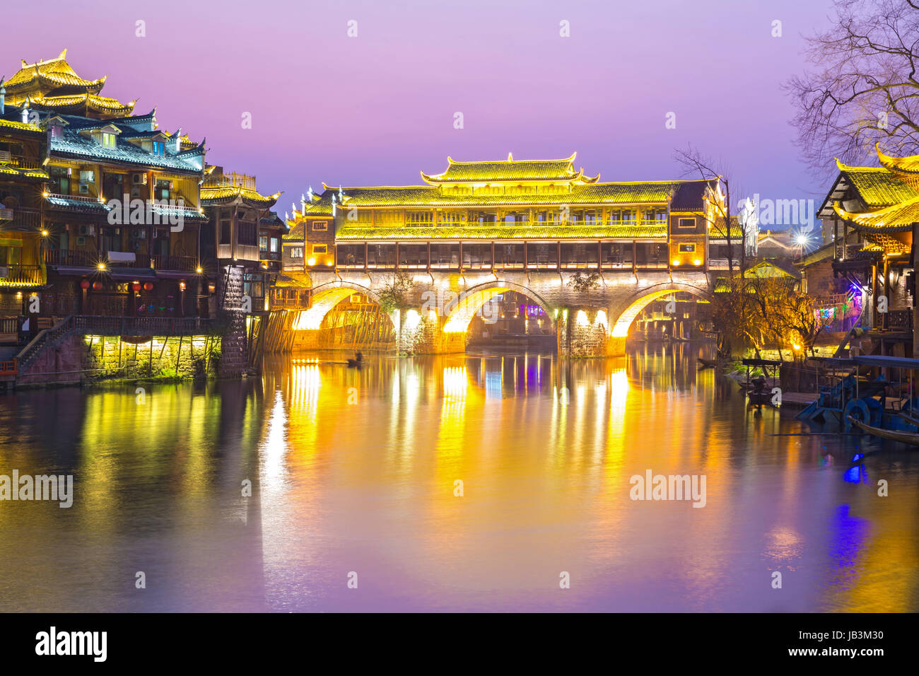 Chinese phoenix tree hi-res stock photography and images - Alamy