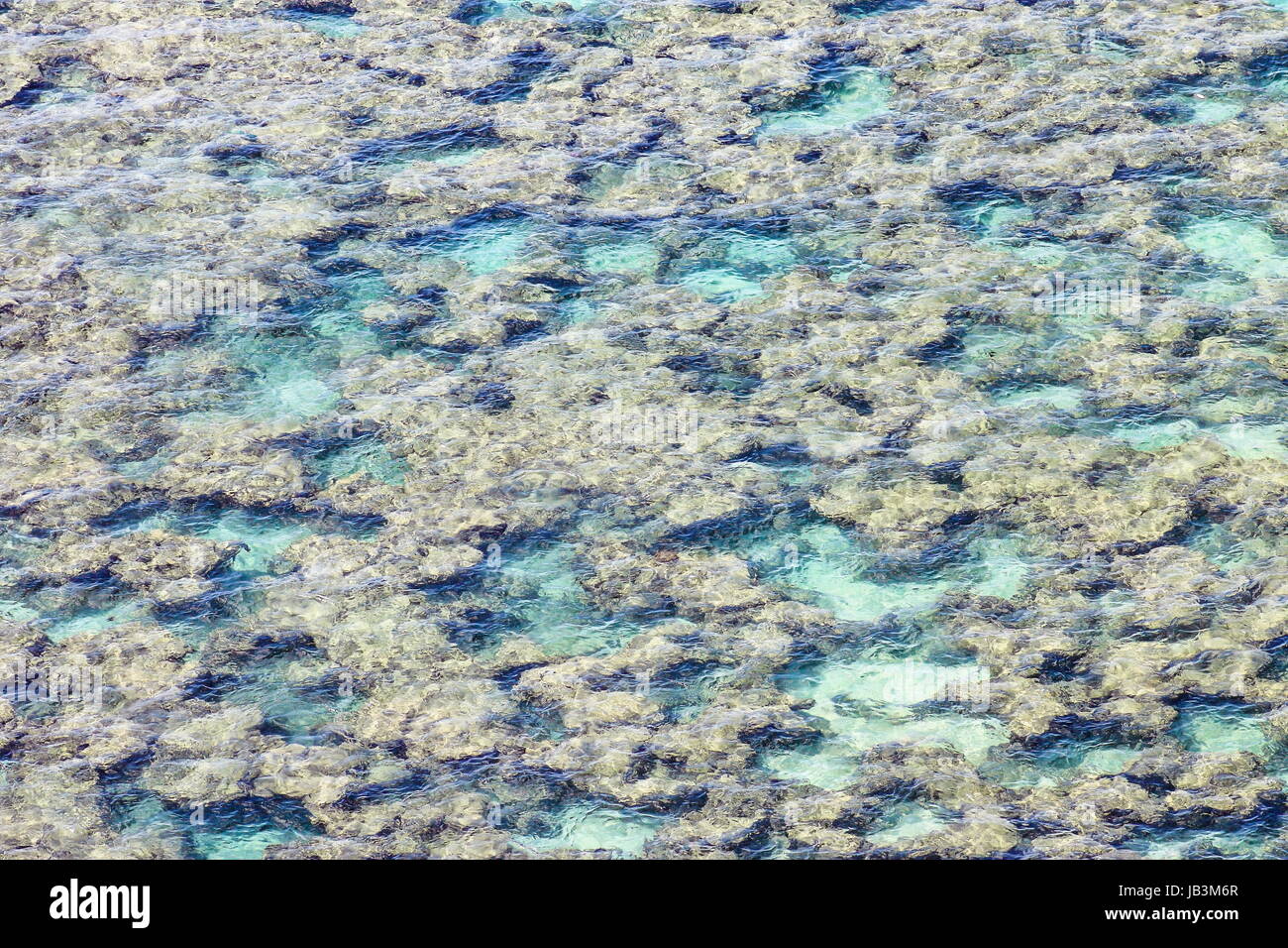 Coral reef at Hanauma Bay Nature Preserve, Oahu, Hawaii Stock Photo - Alamy
