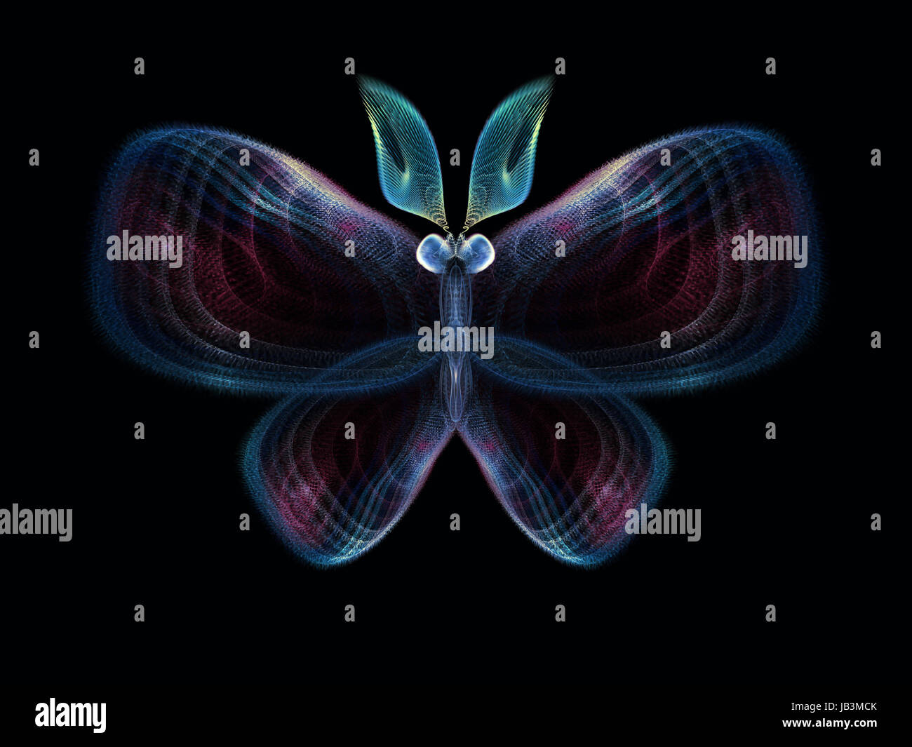Never Were Butterflies series. Creative arrangement of isolated ...