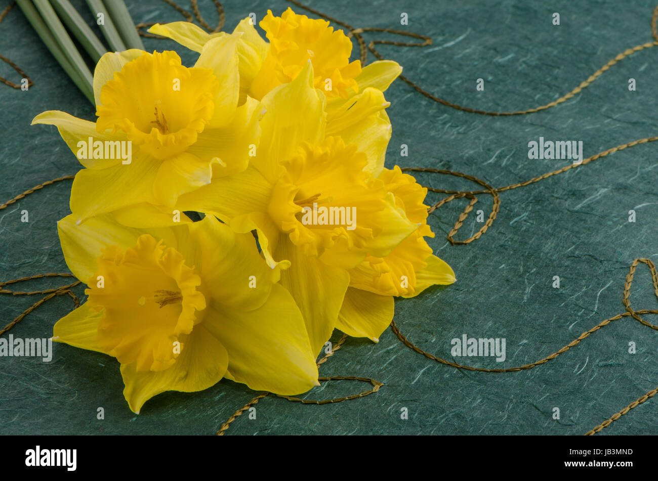 Yellow jonquil flowers on green background Stock Photo - Alamy