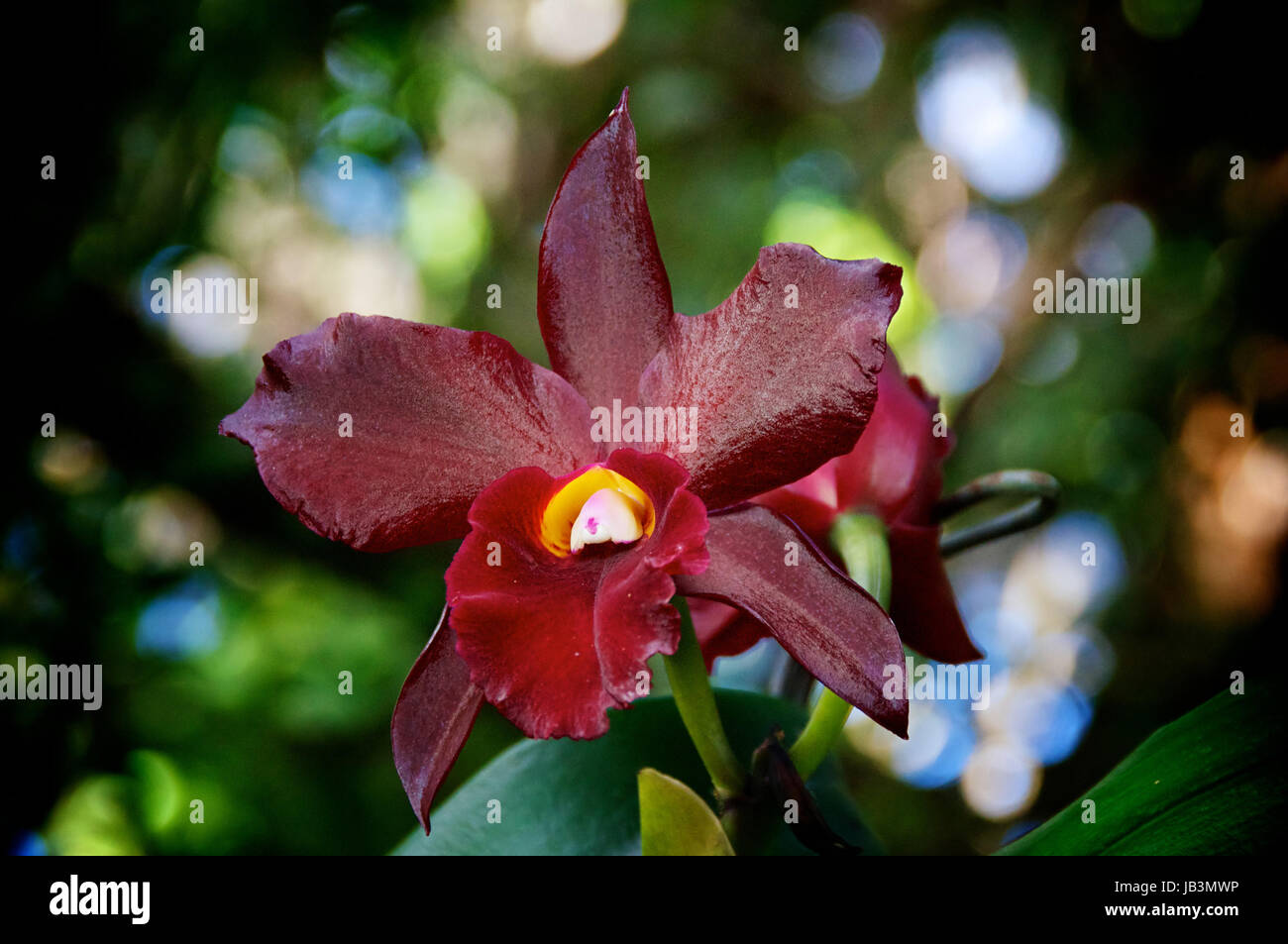 Facing opposite directions hi-res stock photography and images - Alamy