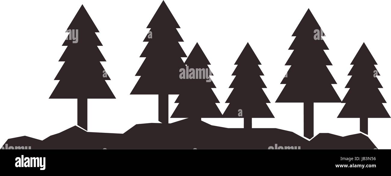 Pine Tree Forest Silhouette