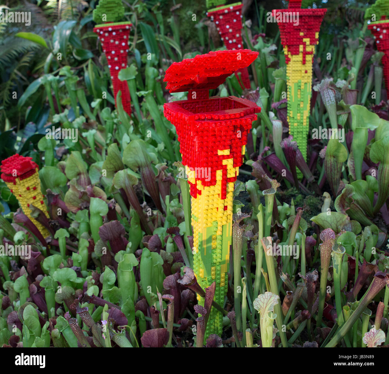 Lego models of pitcher plants in the Cloud Forest greenhouse in Gardens ...