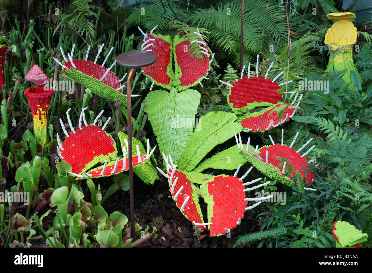 Lego models of pitcher plants in the Cloud Forest greenhouse in Gardens ...