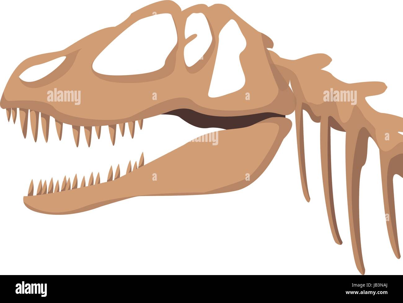 fossil dinosaur head skeleton lizard animal bone Stock Vector Image ...