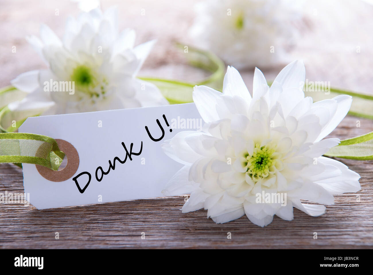 Label with the dutch word Dank U which means Thanks and white flowers ...