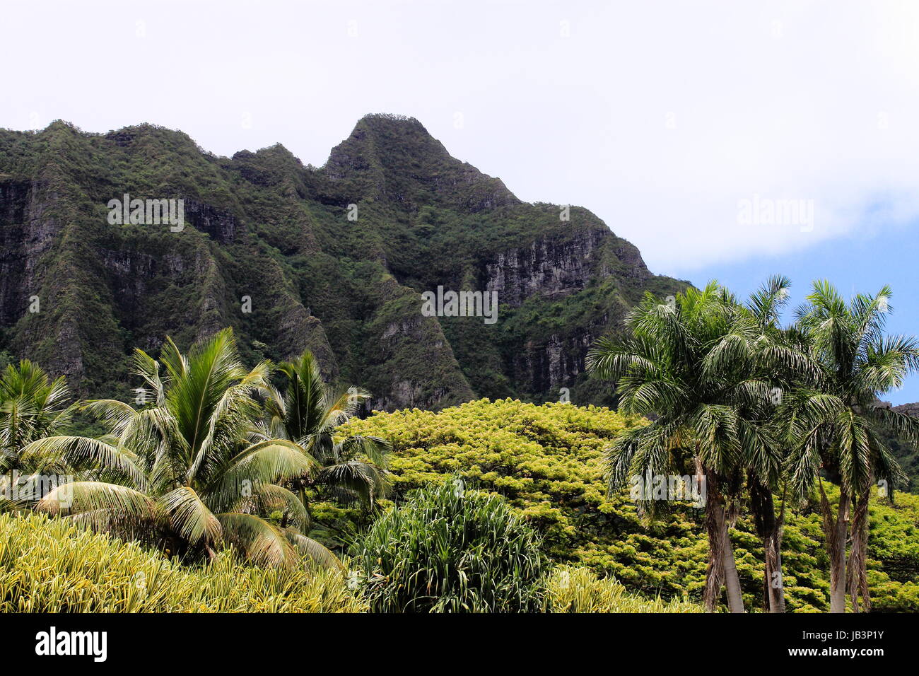 Koolau Cliffs, Oahu, Hawaii Stock Photo - Alamy