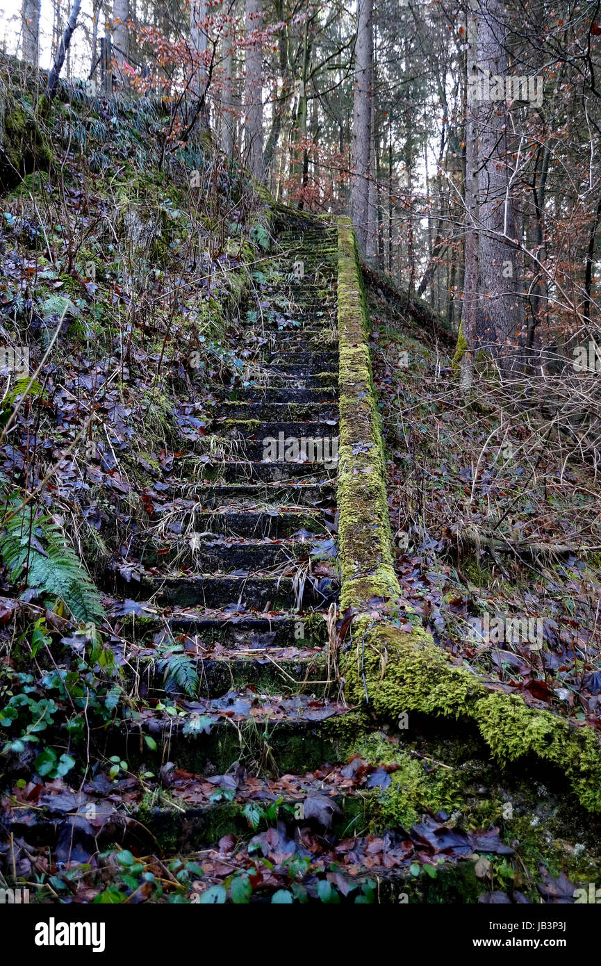 Stair to a ruin of a castle near Munich in Bavaria Stock Photo - Alamy