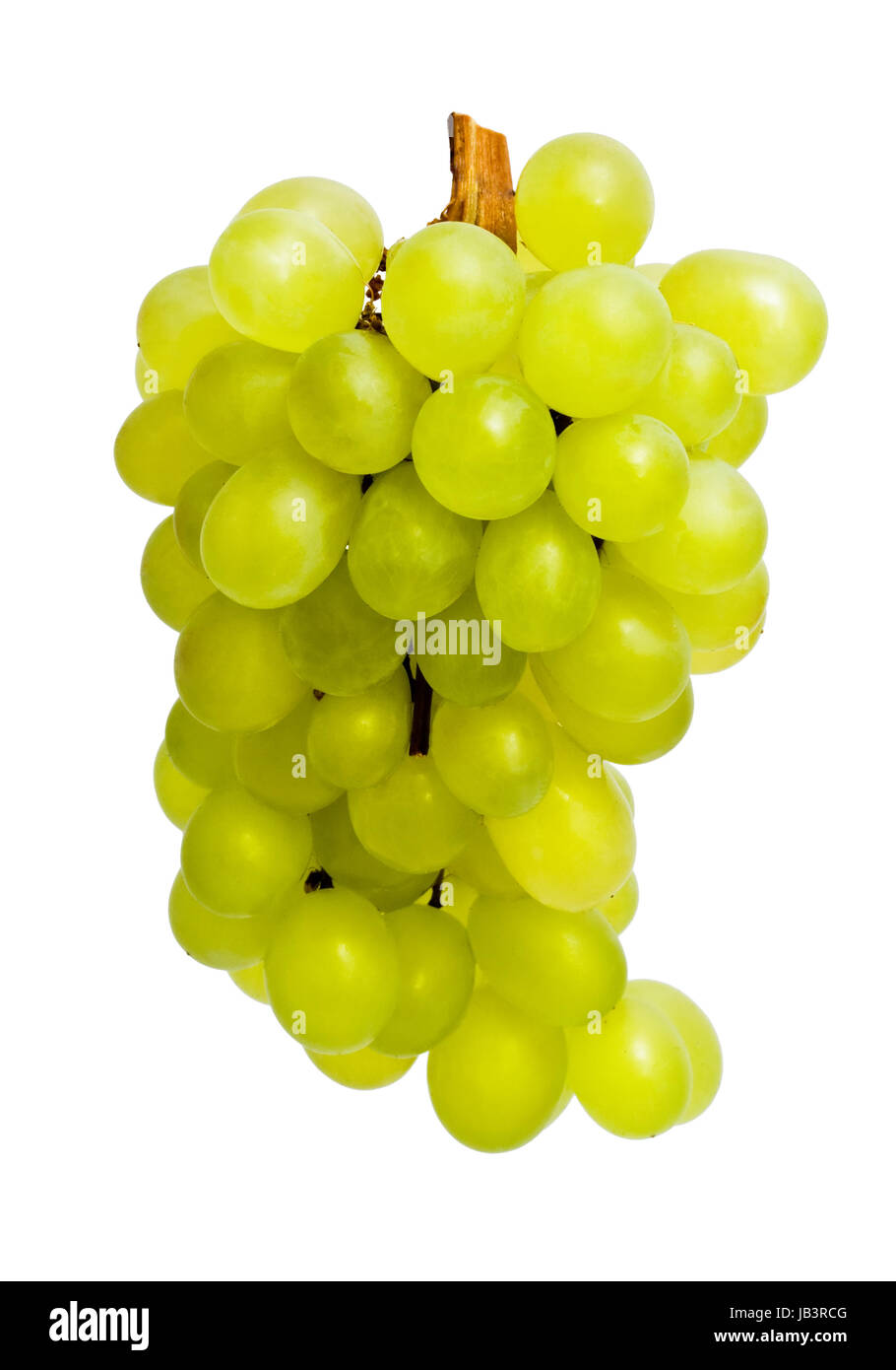 Fresh grapes isolated on white background Stock Photo - Alamy