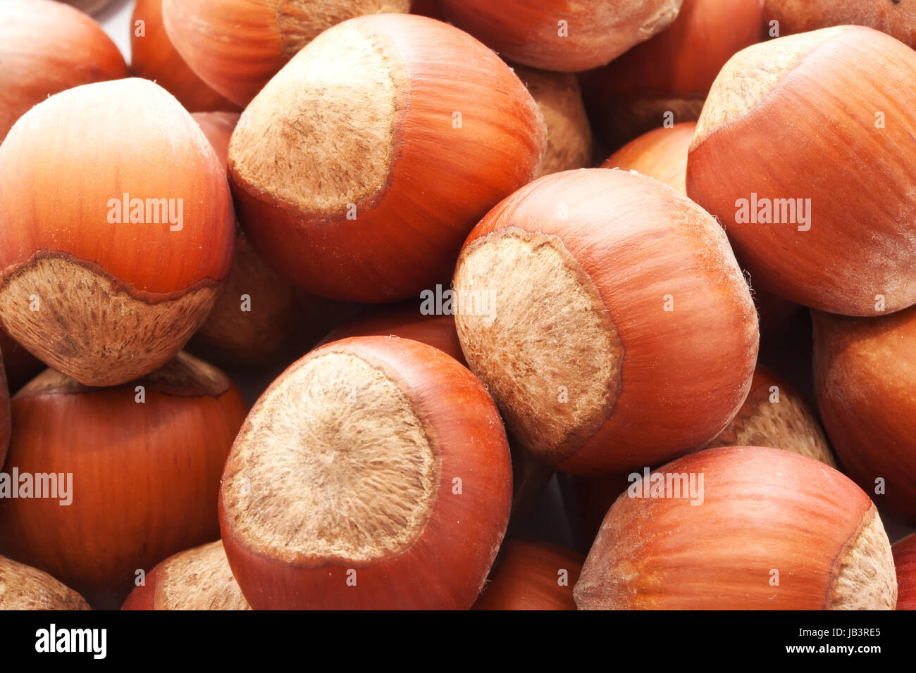 Heap of hazelnuts, filbert nuts making background Stock Photo - Alamy