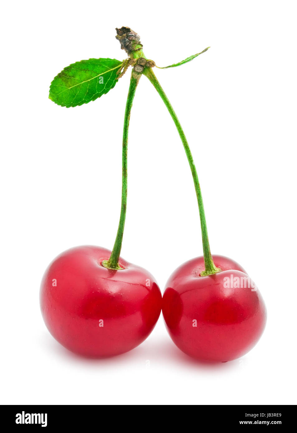 Beautiful red cherry isolated on white background Stock Photo - Alamy