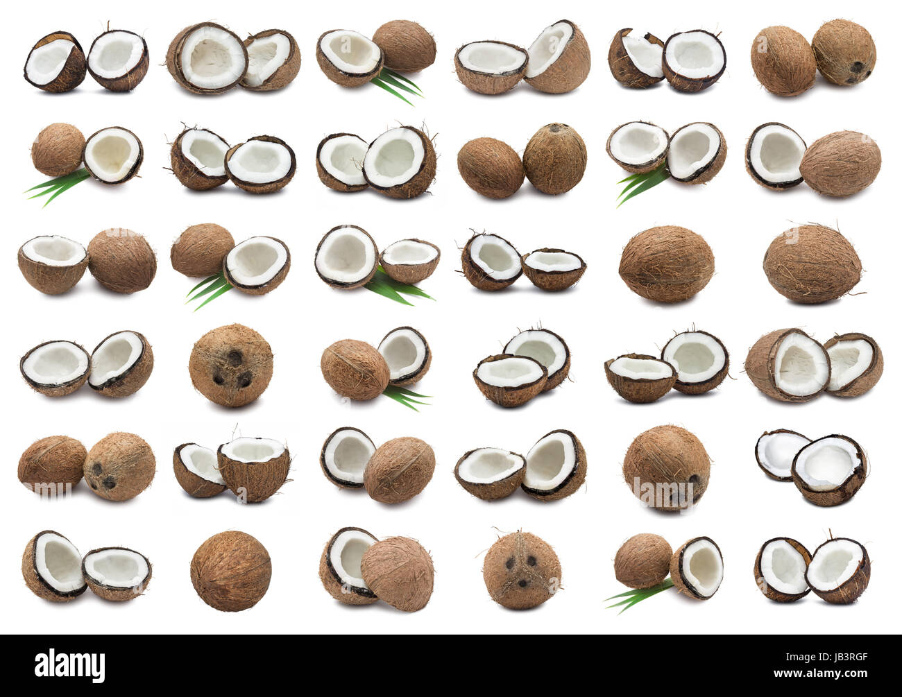Collection of fresh coconuts isolated on white background Stock Photo ...
