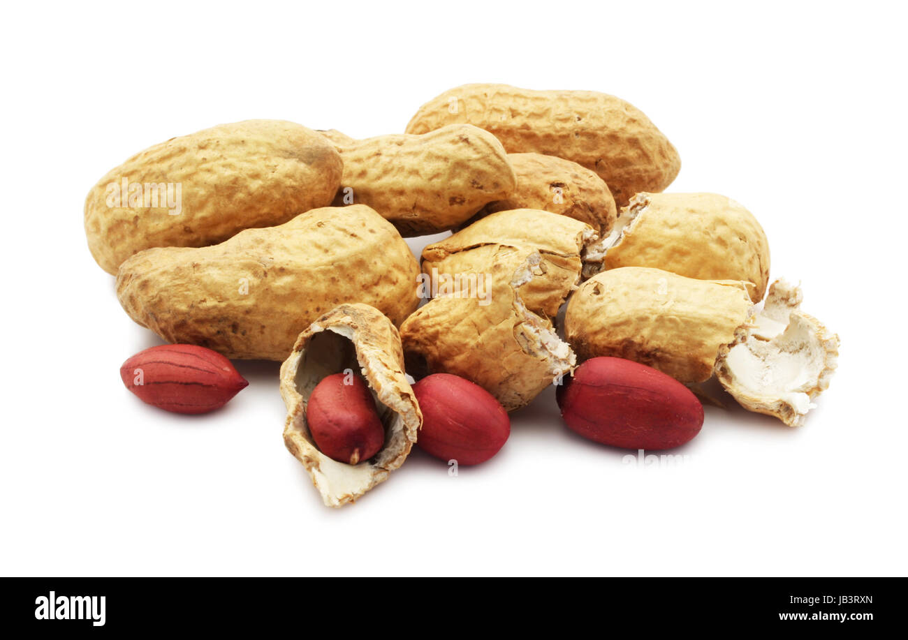 Fresh peanuts with shells isolated on white background Stock Photo - Alamy