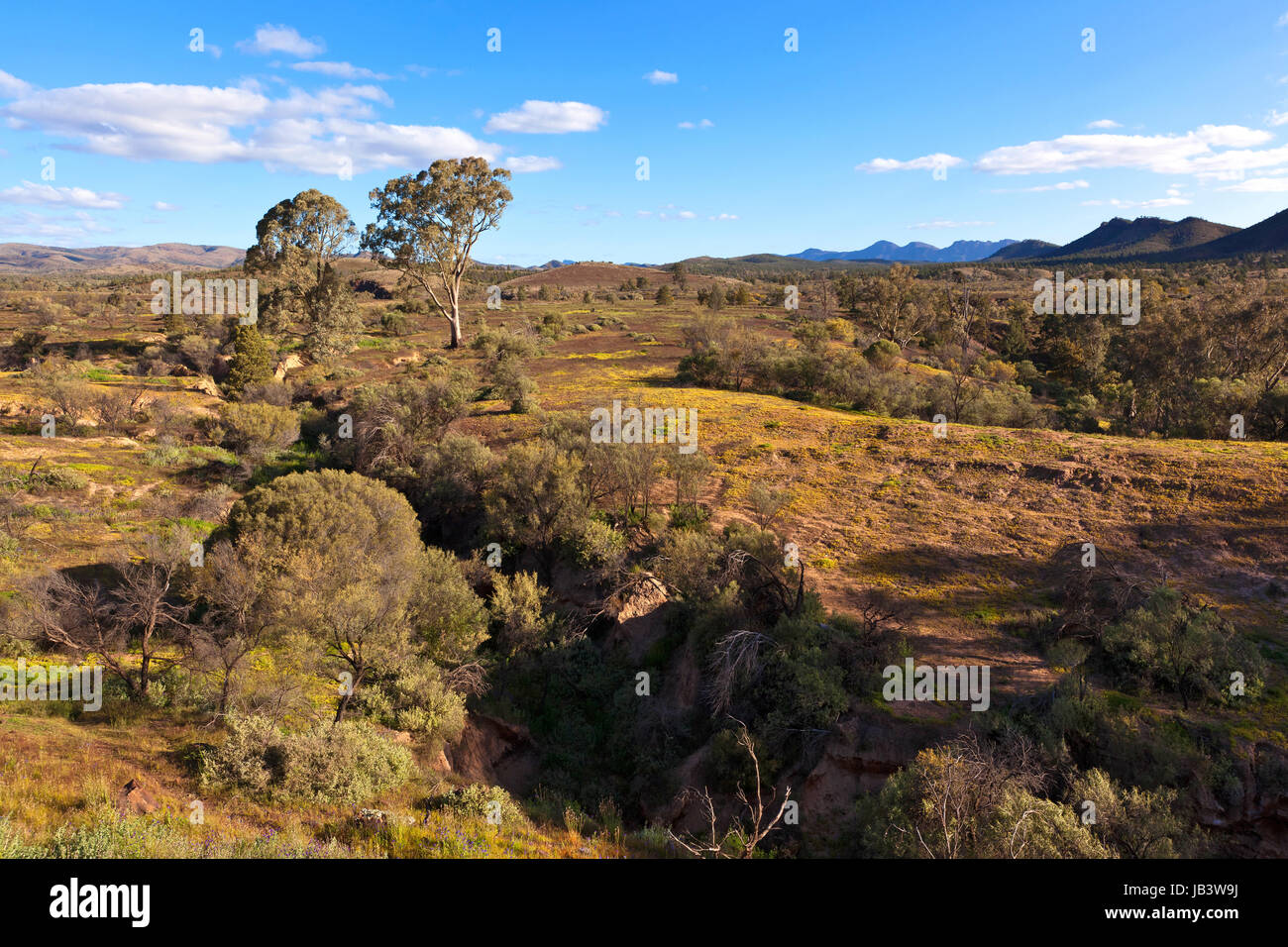 Flinders Ranges South Australia Stock Photo - Alamy
