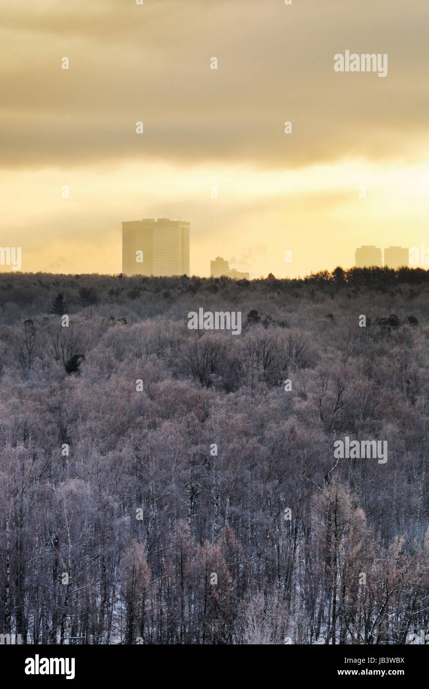 cold yellow dawn over city park in winter, Moscow Stock Photo - Alamy