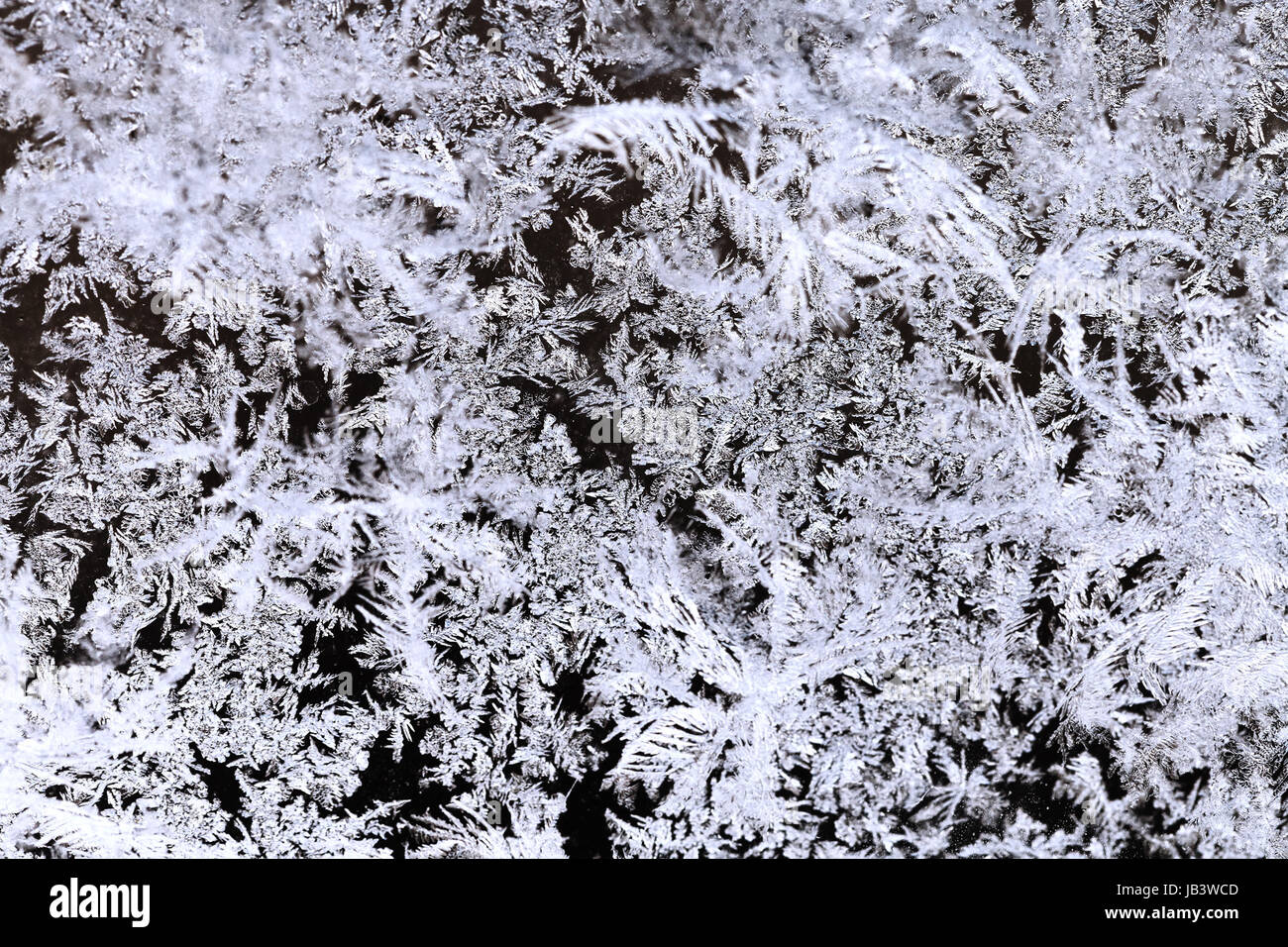 snowflakes and frost on glass close up - frosty white and black pattern ...