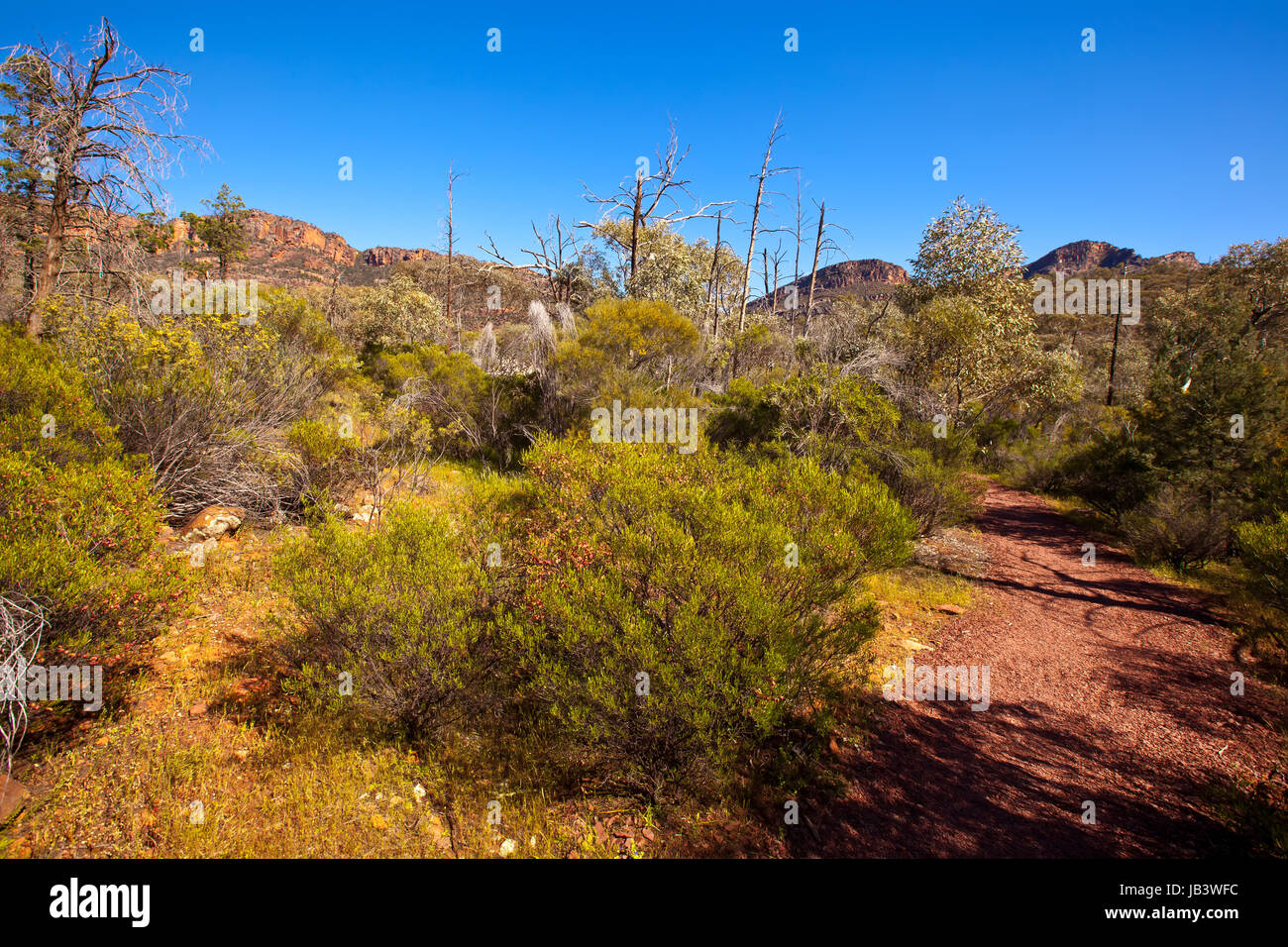 Flinders Ranges South Australia Stock Photo - Alamy