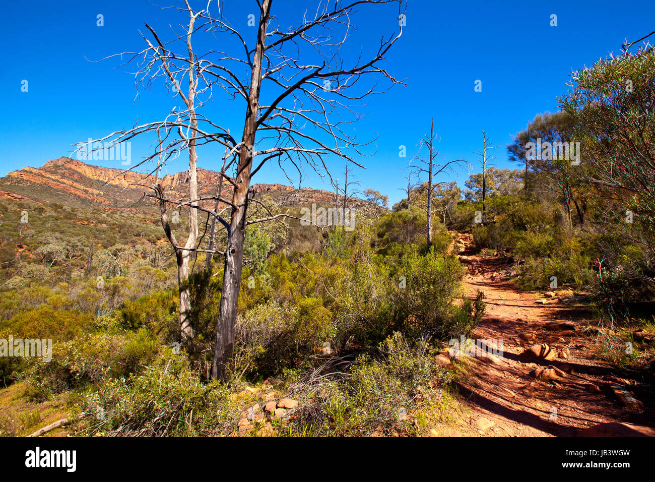 Flinders Ranges South Australia Stock Photo - Alamy