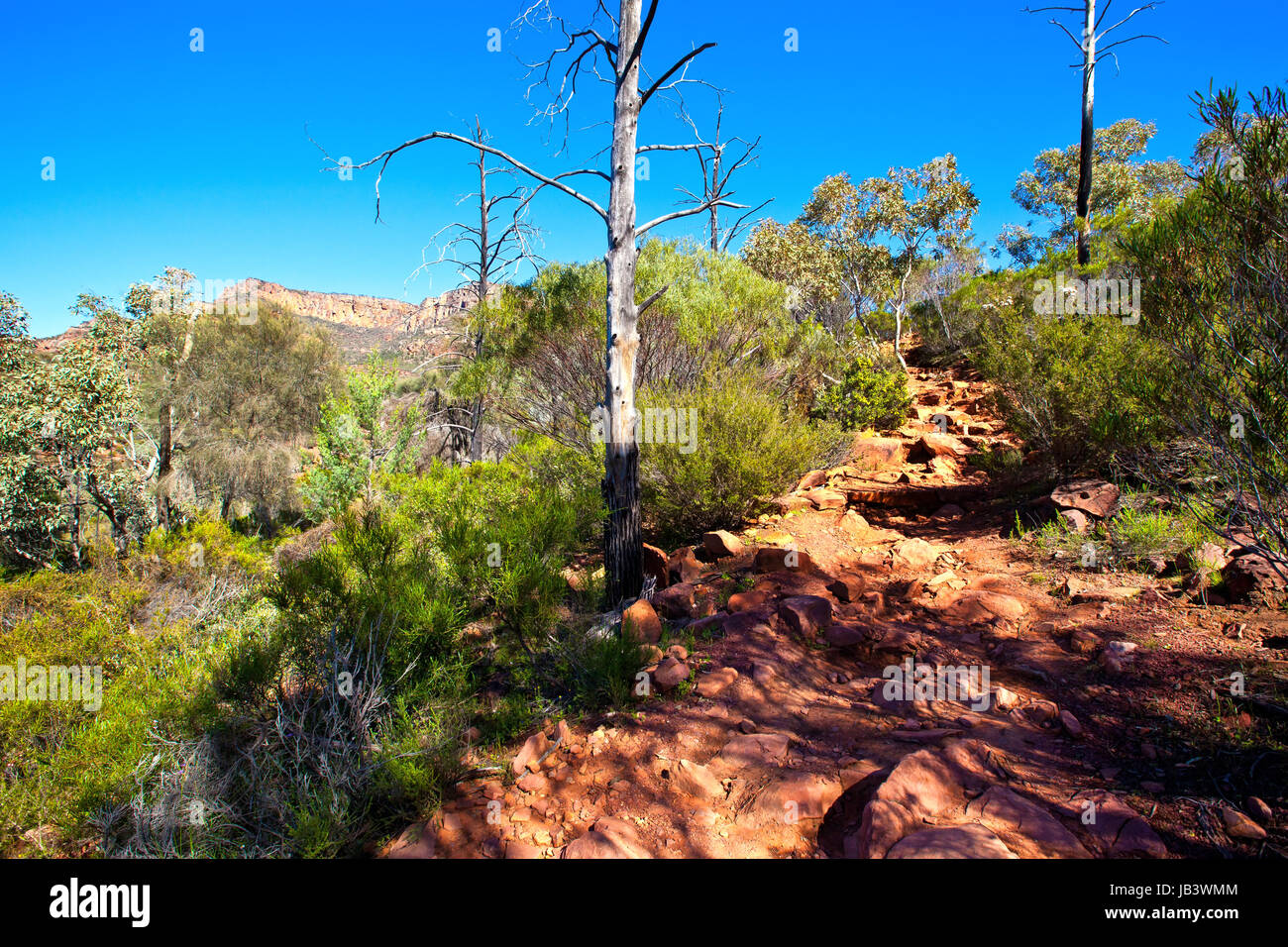 Flinders Ranges South Australia Stock Photo - Alamy