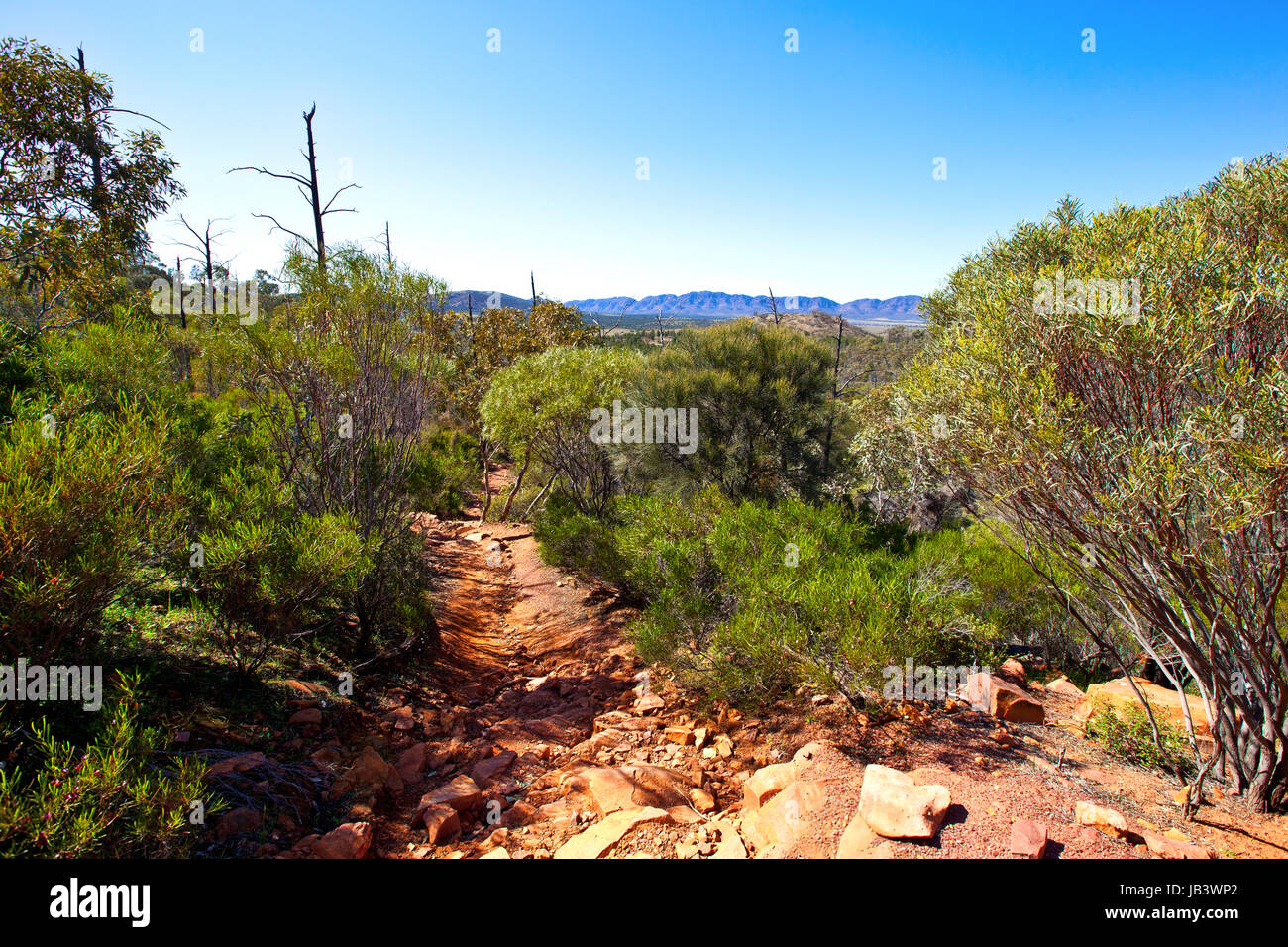 Flinders Ranges South Australia Stock Photo - Alamy