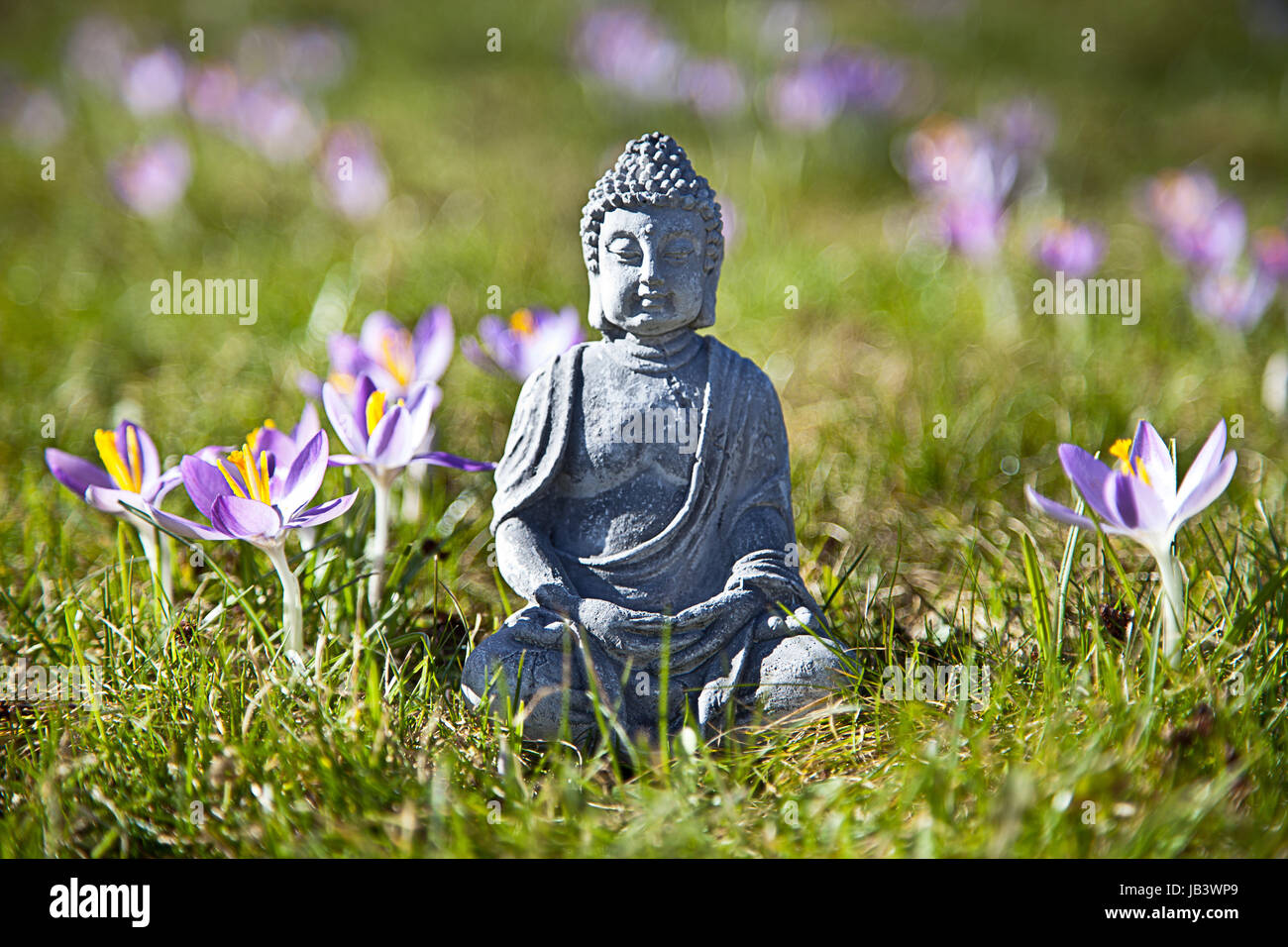 buddha meditation in spring Stock Photo - Alamy