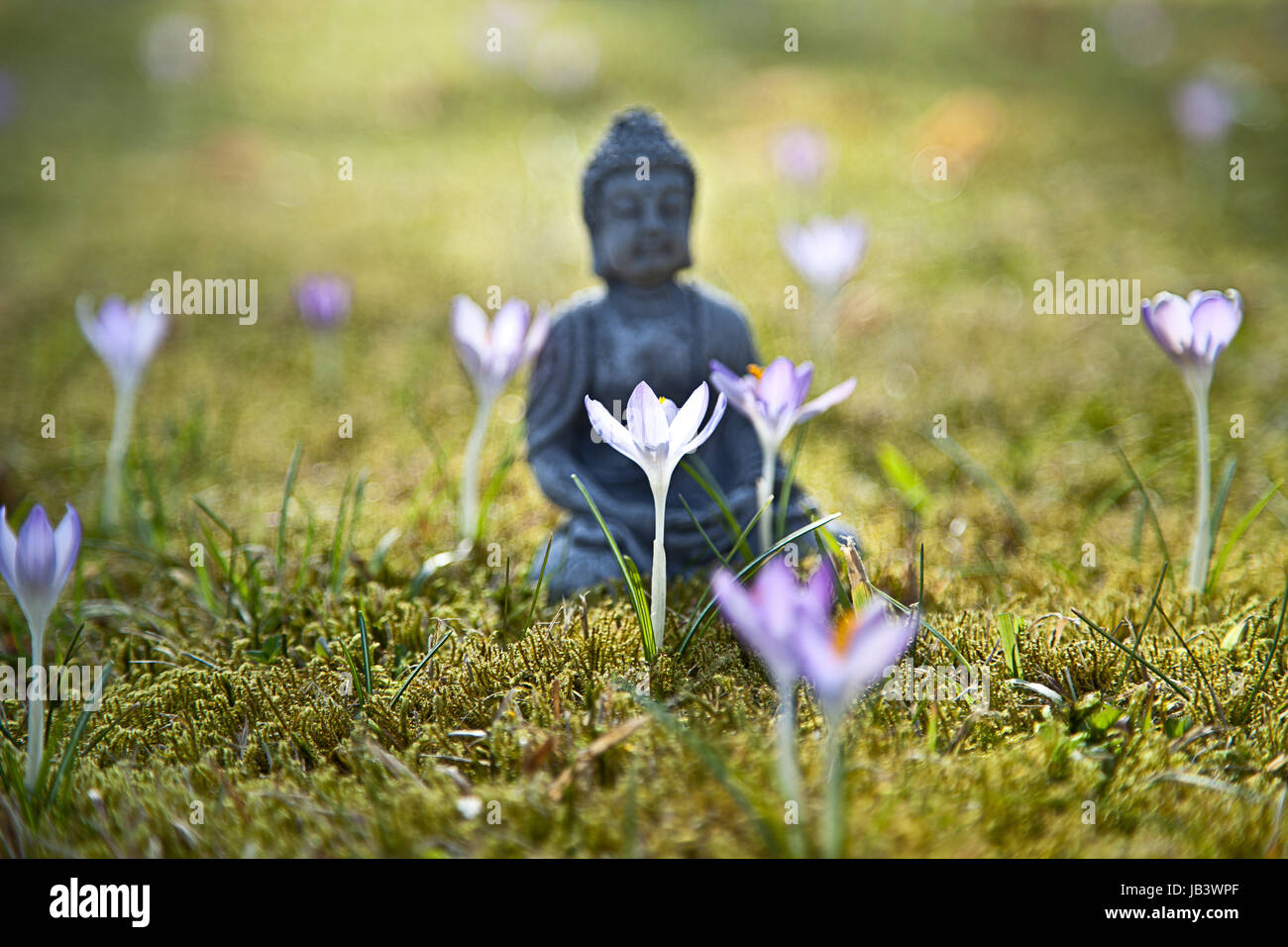 buddha meditation in spring Stock Photo - Alamy