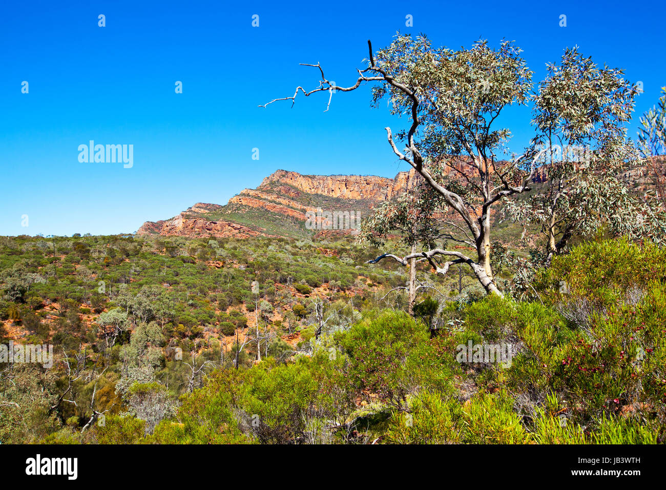 Flinders Ranges South Australia Stock Photo - Alamy