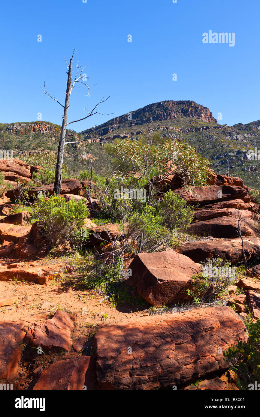 Flinders Ranges South Australia Stock Photo - Alamy