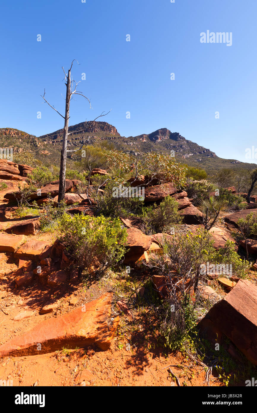 Flinders Ranges South Australia Stock Photo - Alamy