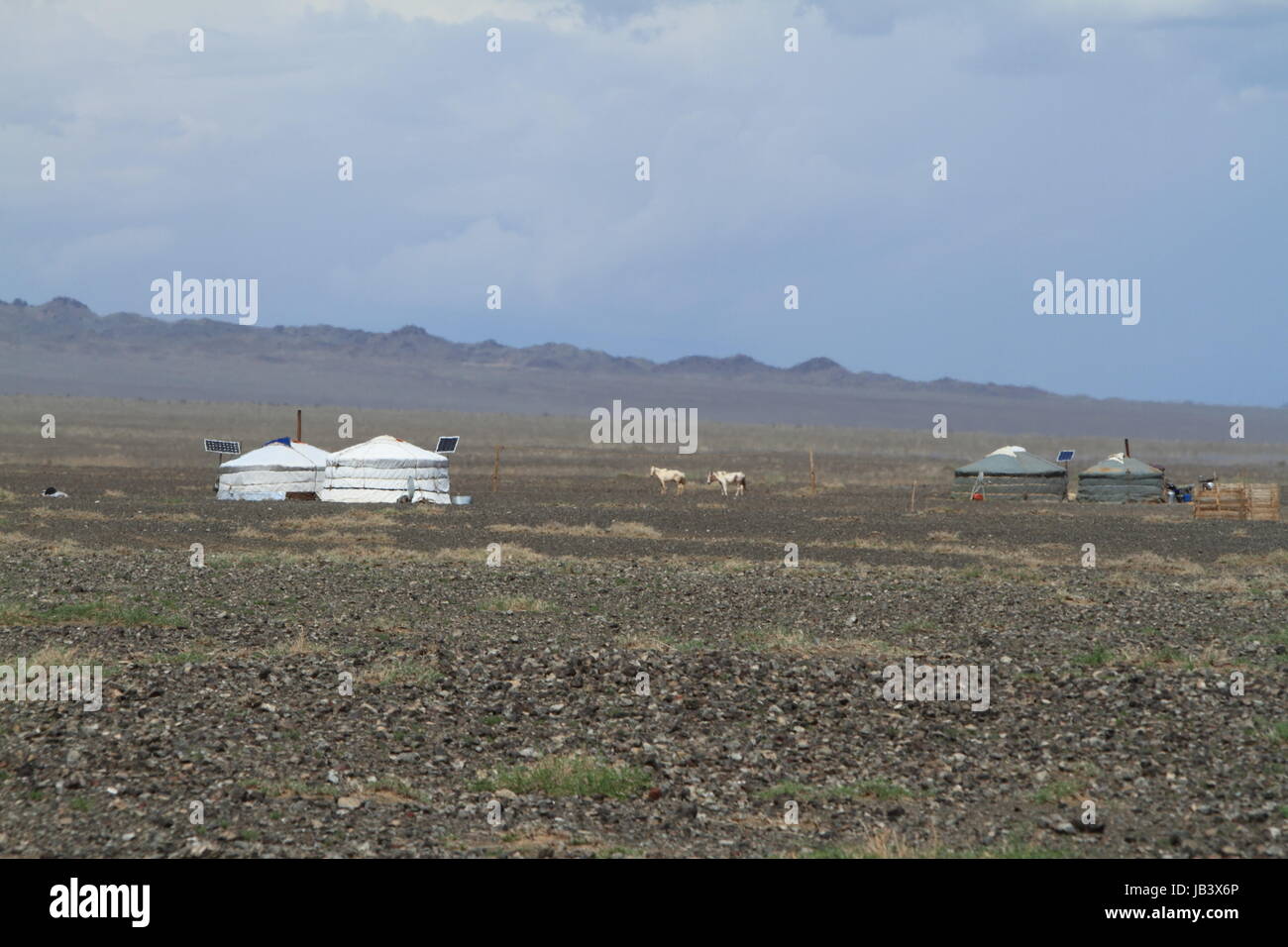 yurts and tent settlement in the gobi desert mongolia Stock Photo - Alamy