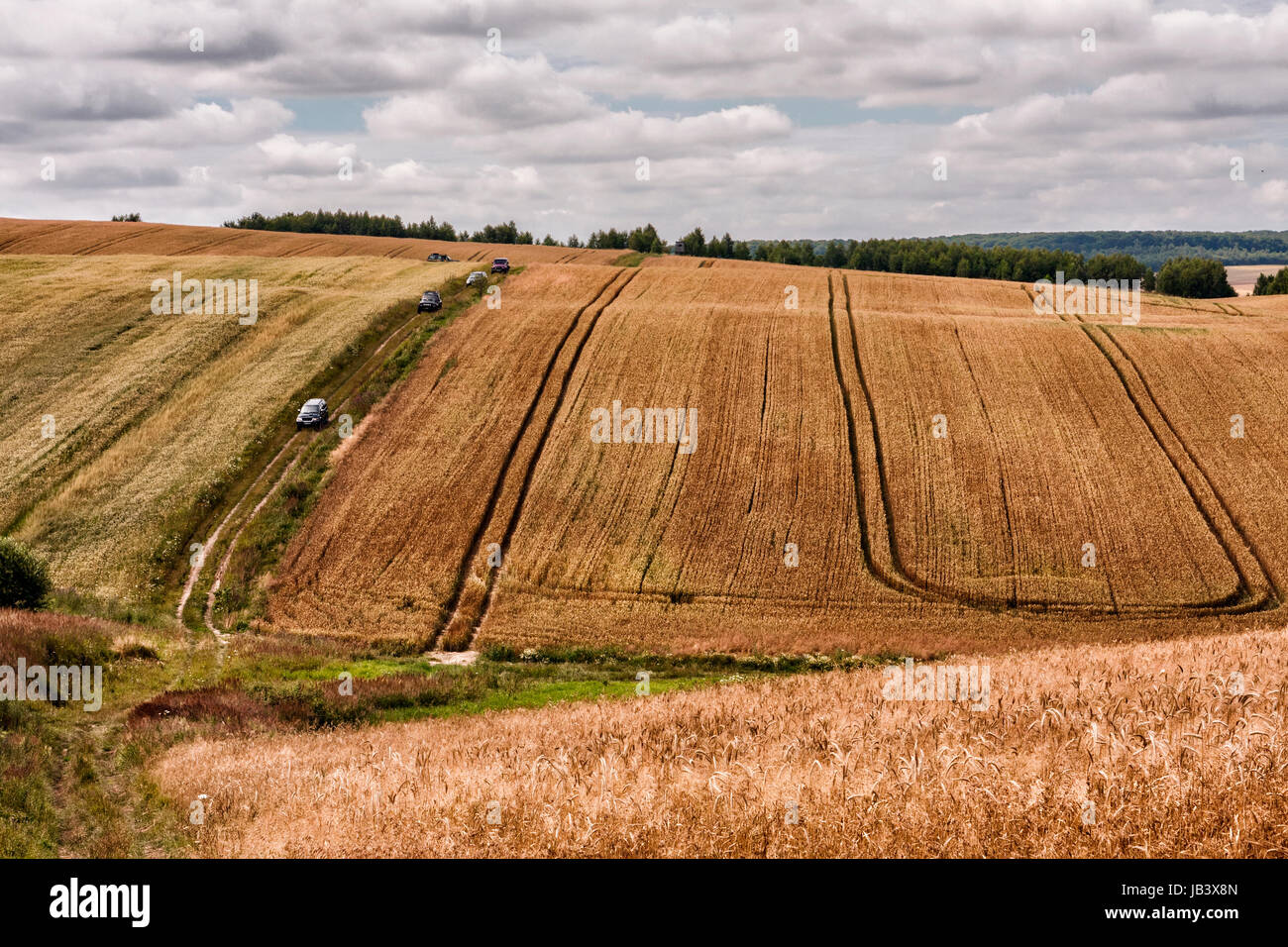 Off road 4x4 wheel tracks hi-res stock photography and images - Alamy