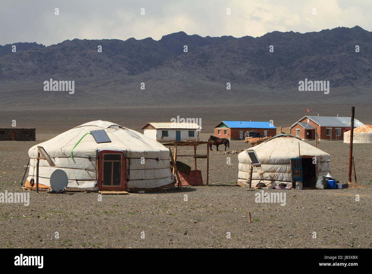 yurts and tent settlement in the gobi desert mongolia Stock Photo - Alamy
