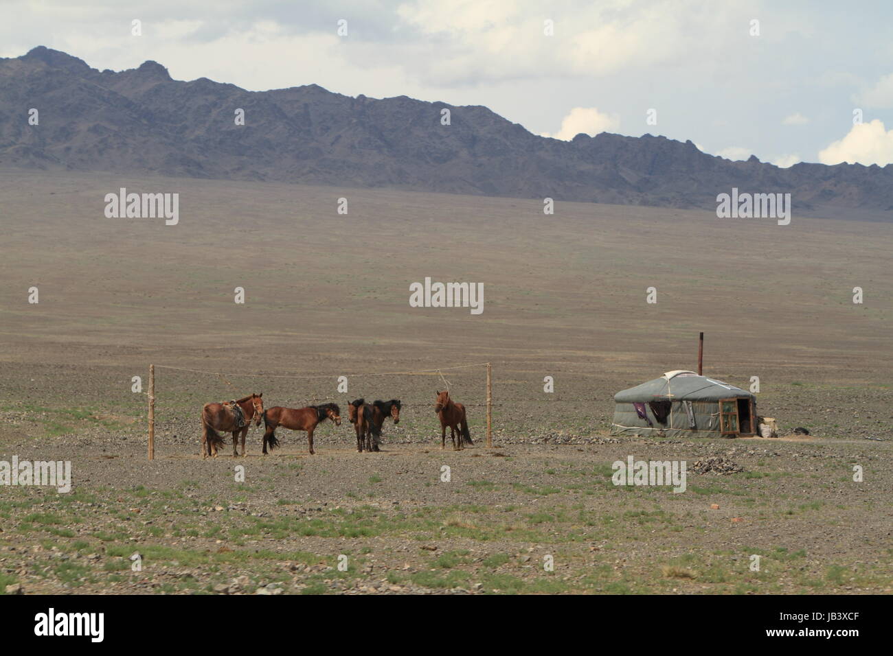 yurts and tent settlement in the gobi desert mongolia Stock Photo - Alamy