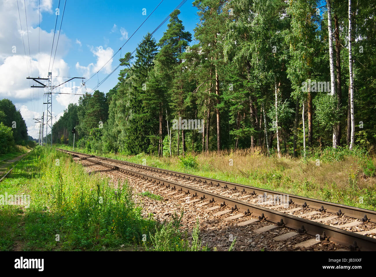 Beautiful landscape of railroad in summer forest Stock Photo - Alamy