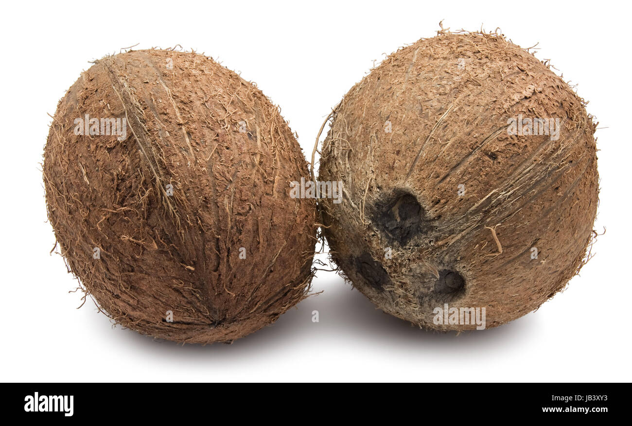 Perfect fresh coconut isolated on white background Stock Photo - Alamy