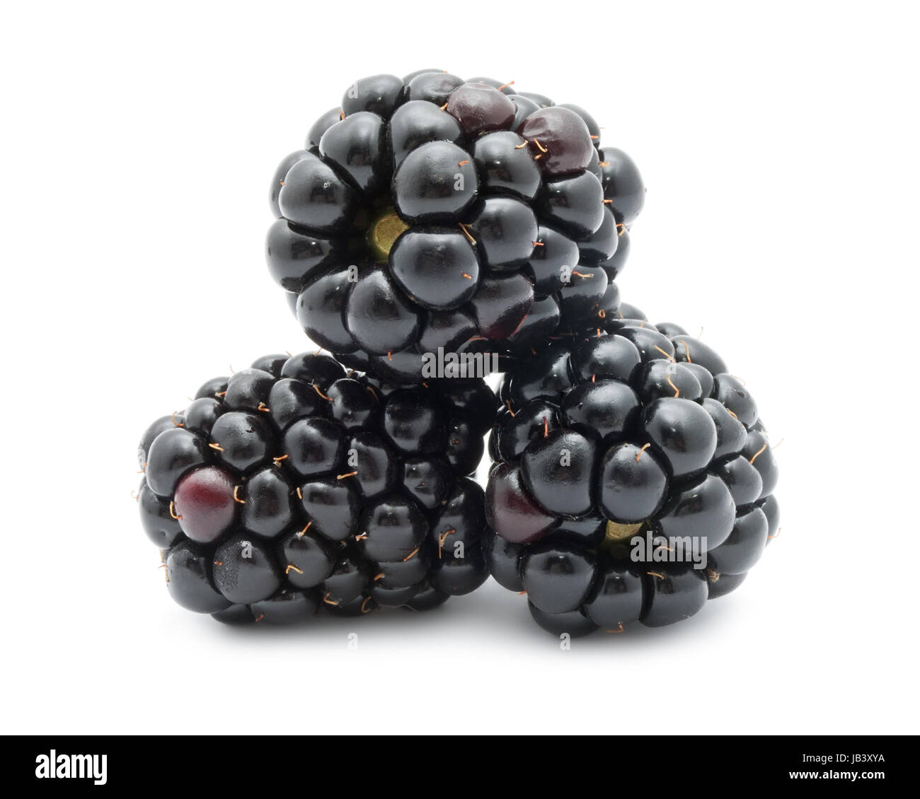 Ripe fresh blackberry isolated on white background Stock Photo - Alamy