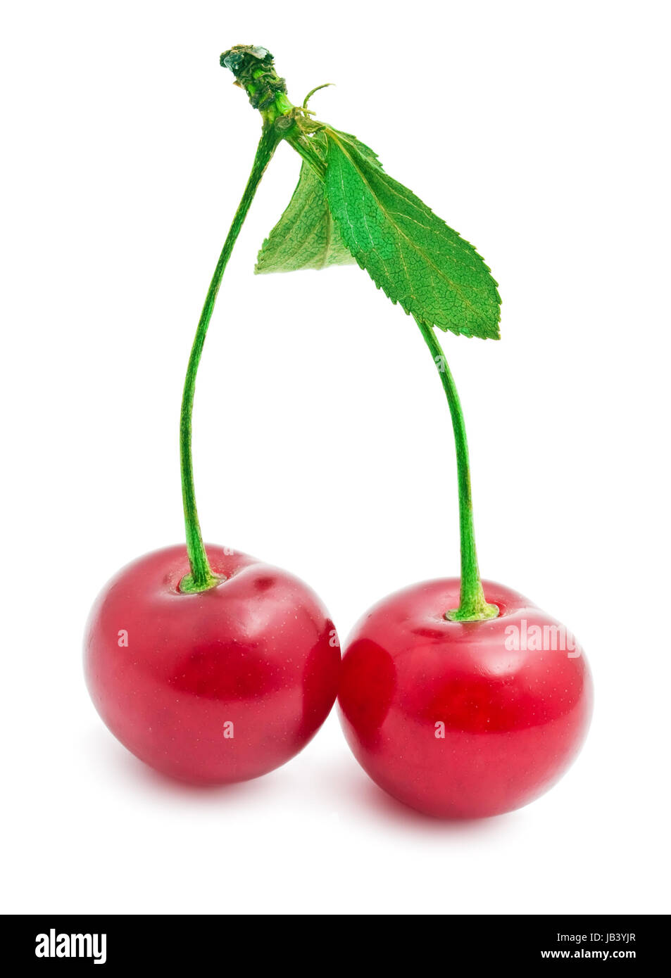 Beautiful red cherry isolated on white background Stock Photo - Alamy