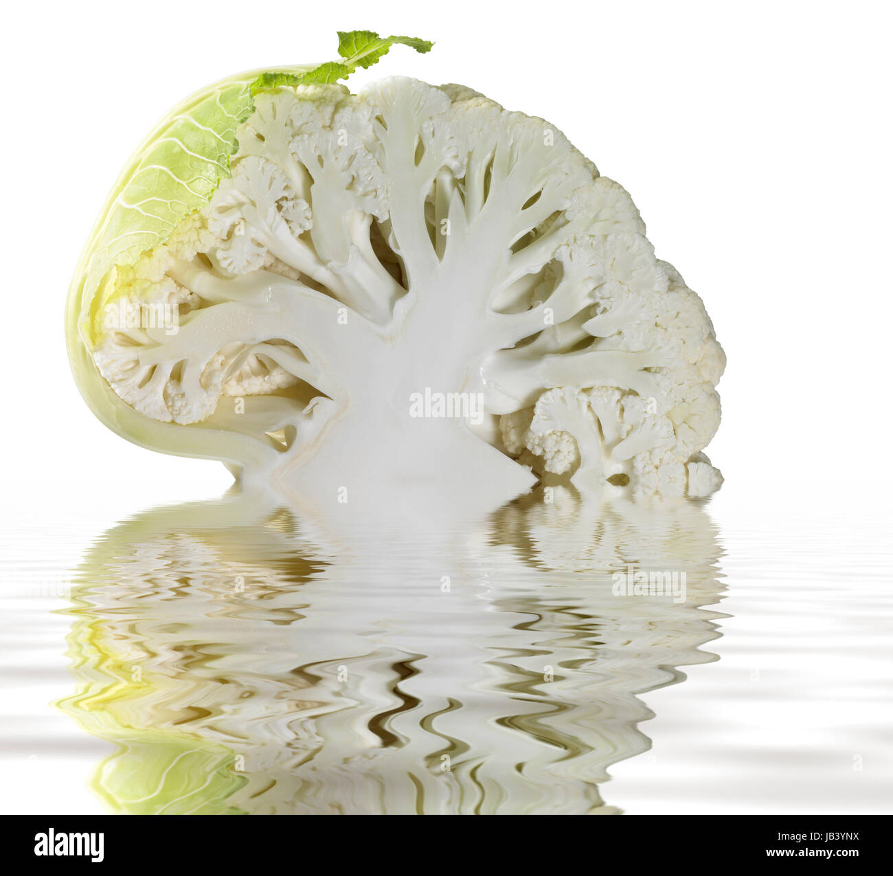 a halved cauliflower and reflective water surface Stock Photo - Alamy
