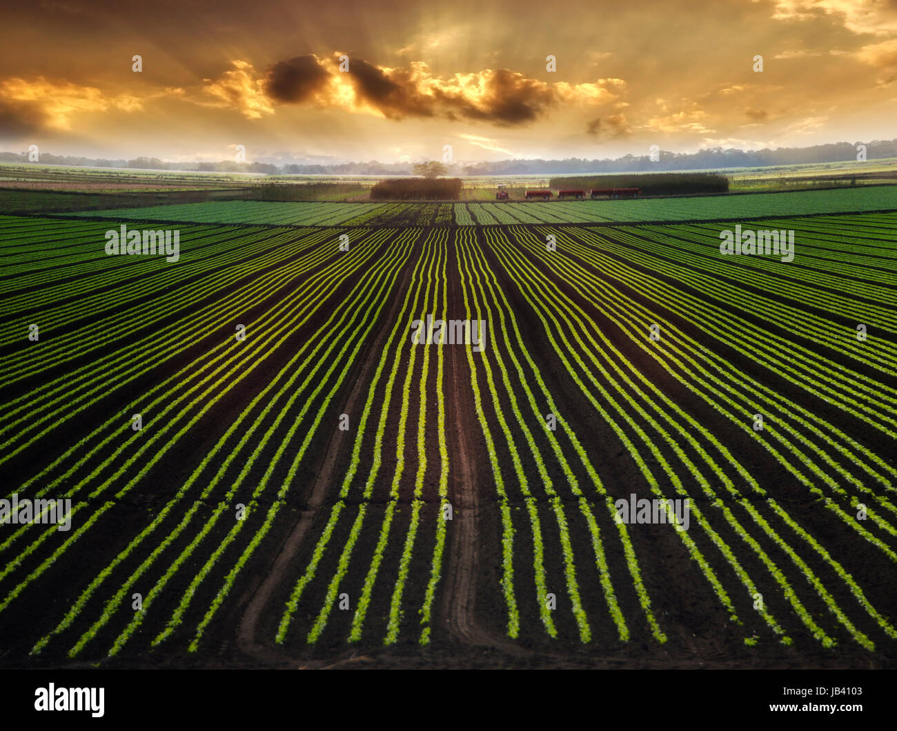 Landscape with Field And Beautiful Sky At Sunrise Stock Photo - Alamy