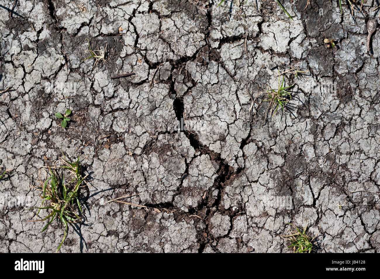 Land with dry cracked ground texture background Stock Photo - Alamy