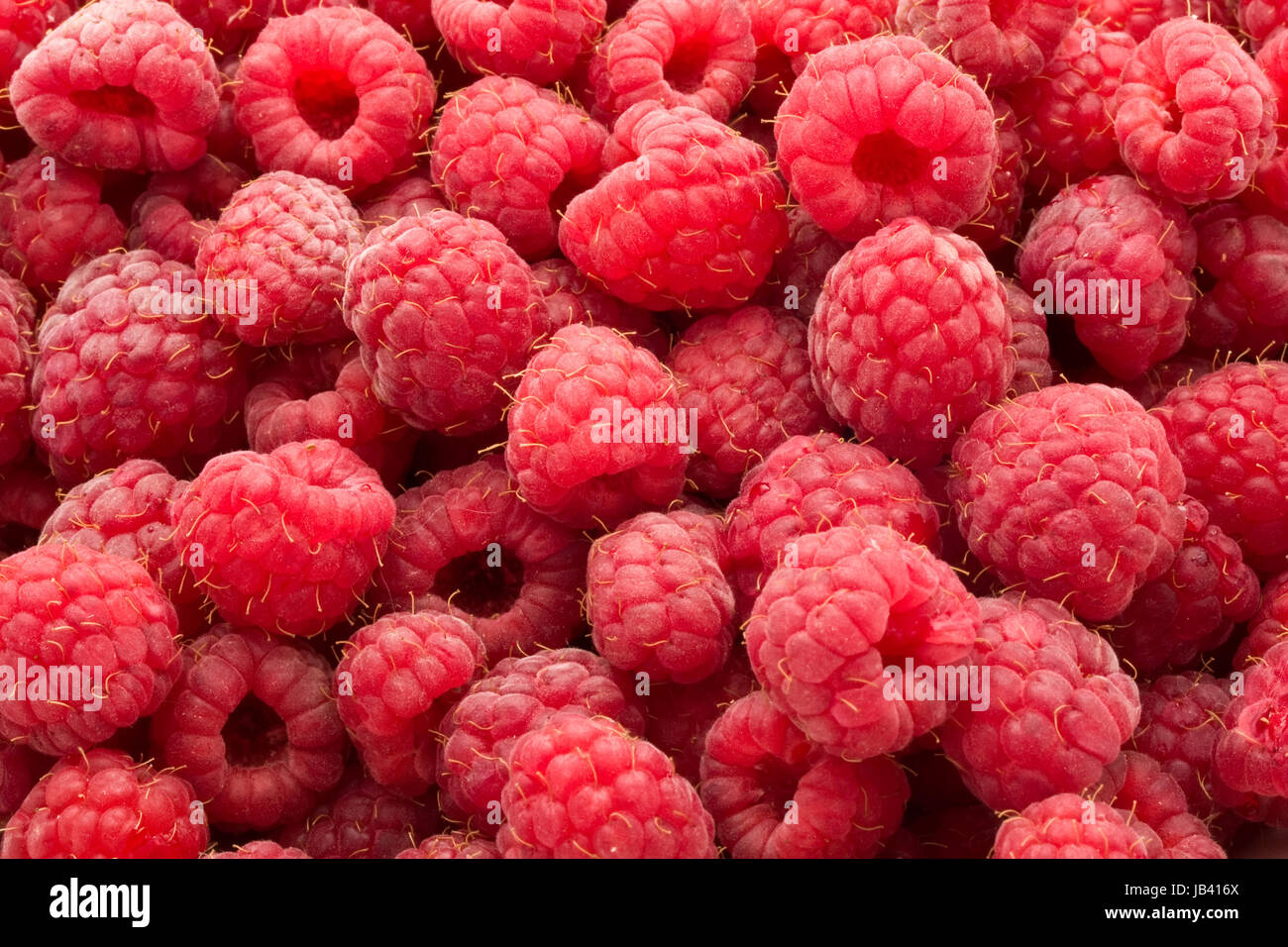 Many fresh red raspberries making beautiful background Stock Photo - Alamy